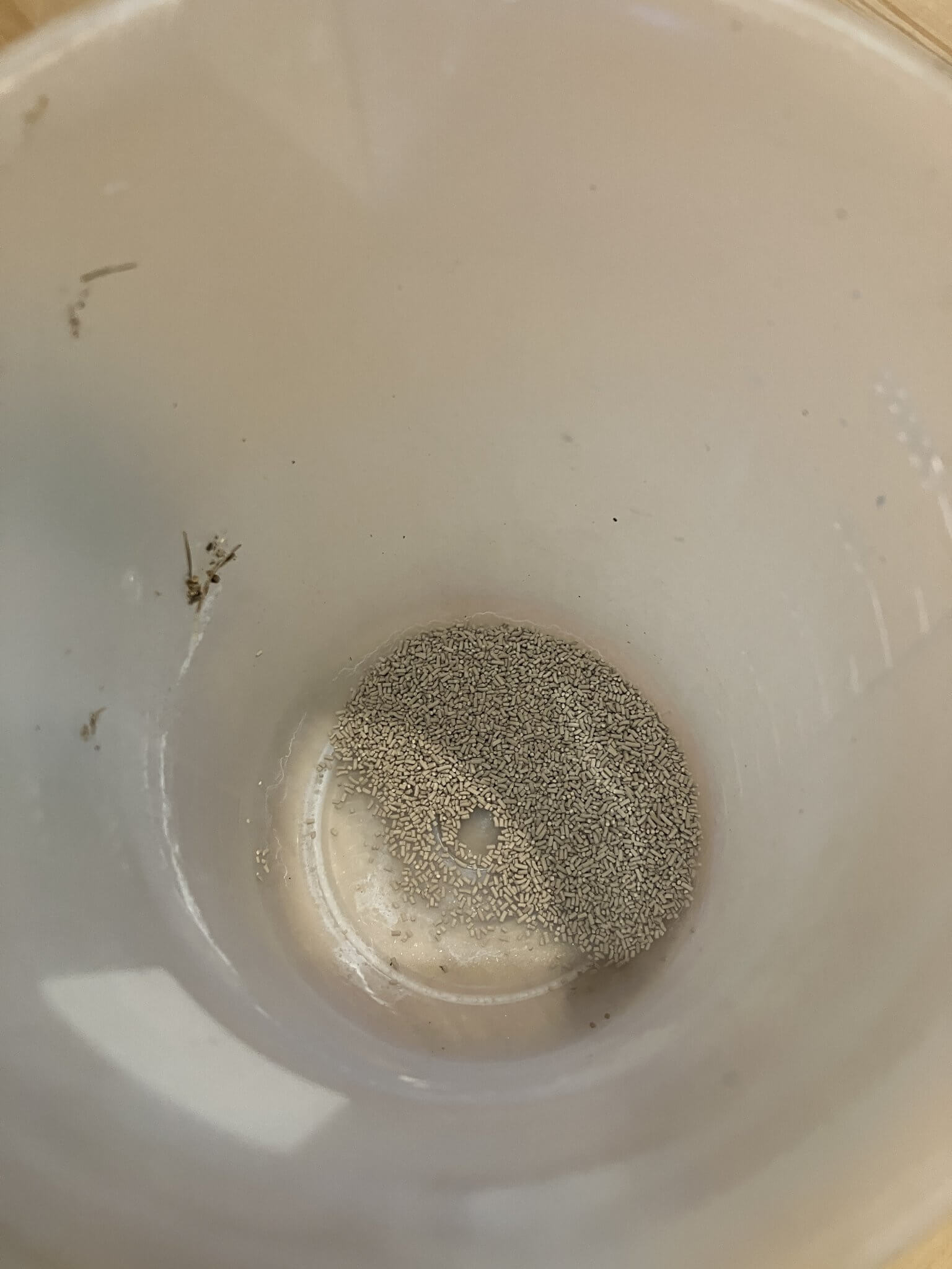 フルスウィング散布①とアルムグリーン散布② 計量・散布まで。【芝活2023】 | SnowLeaf(スノーリーフ)