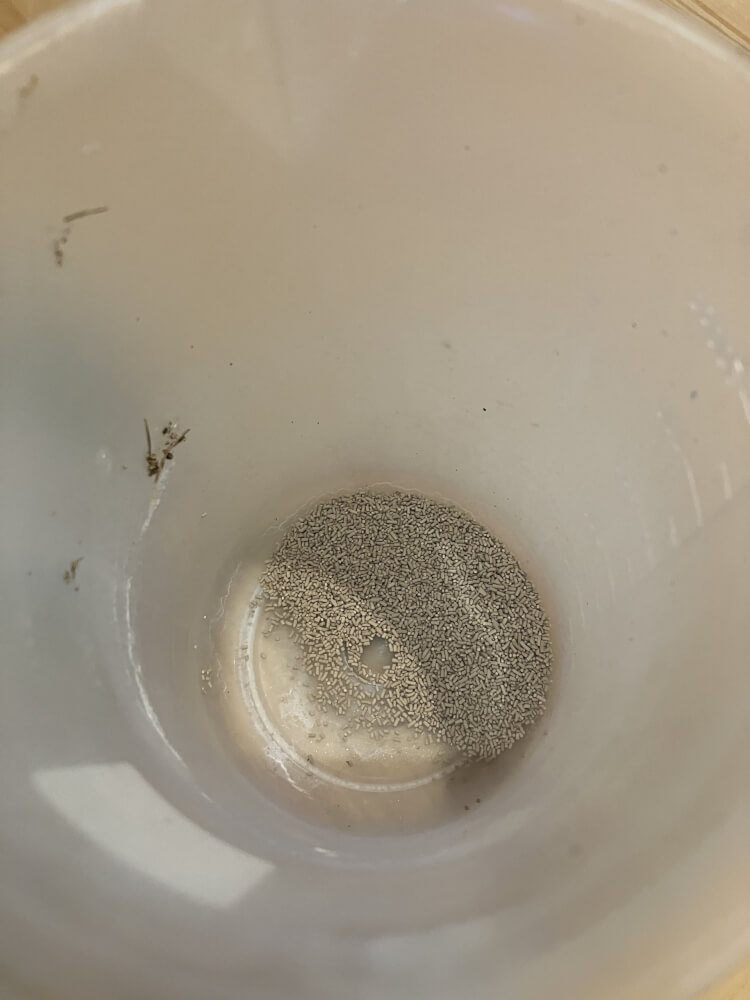 フルスウィング散布①とアルムグリーン散布② 計量・散布まで。【芝活2023】 | SnowLeaf(スノーリーフ)